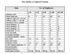 How to Build your own First Aid Kit? - GulfPhysio - UAE's Online ...