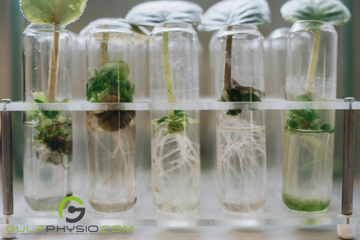 17 Uses of Distilled Water - GulfPhysio - UAE's Online Physiotherapy Store