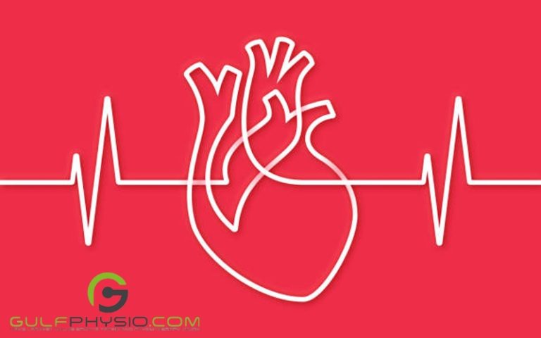 Pulse Check! A Beginner’s Guide to the Human Heart Rate - GulfPhysio ...